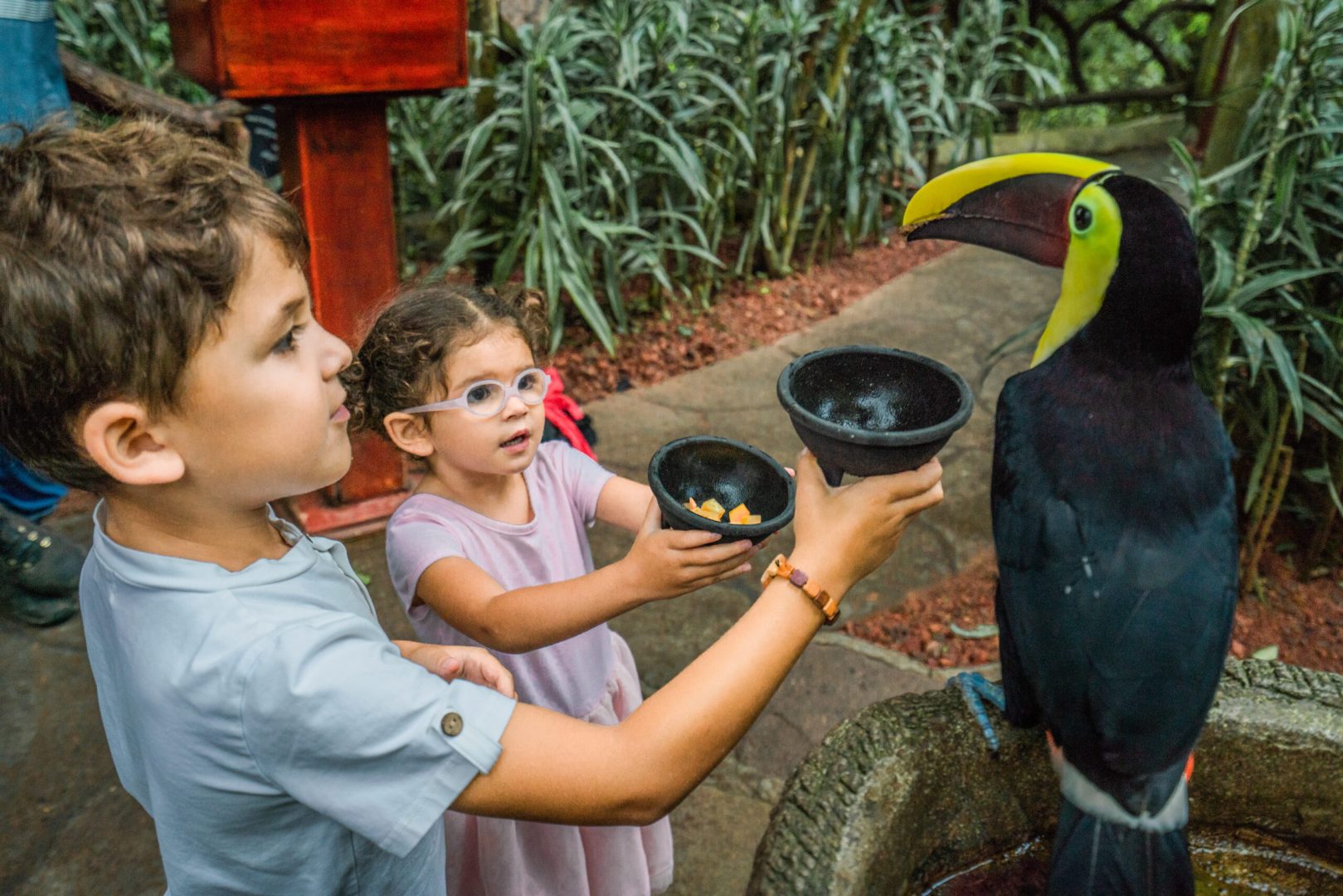 Fun Learning Activities When Traveling to Costa Rica with Kids