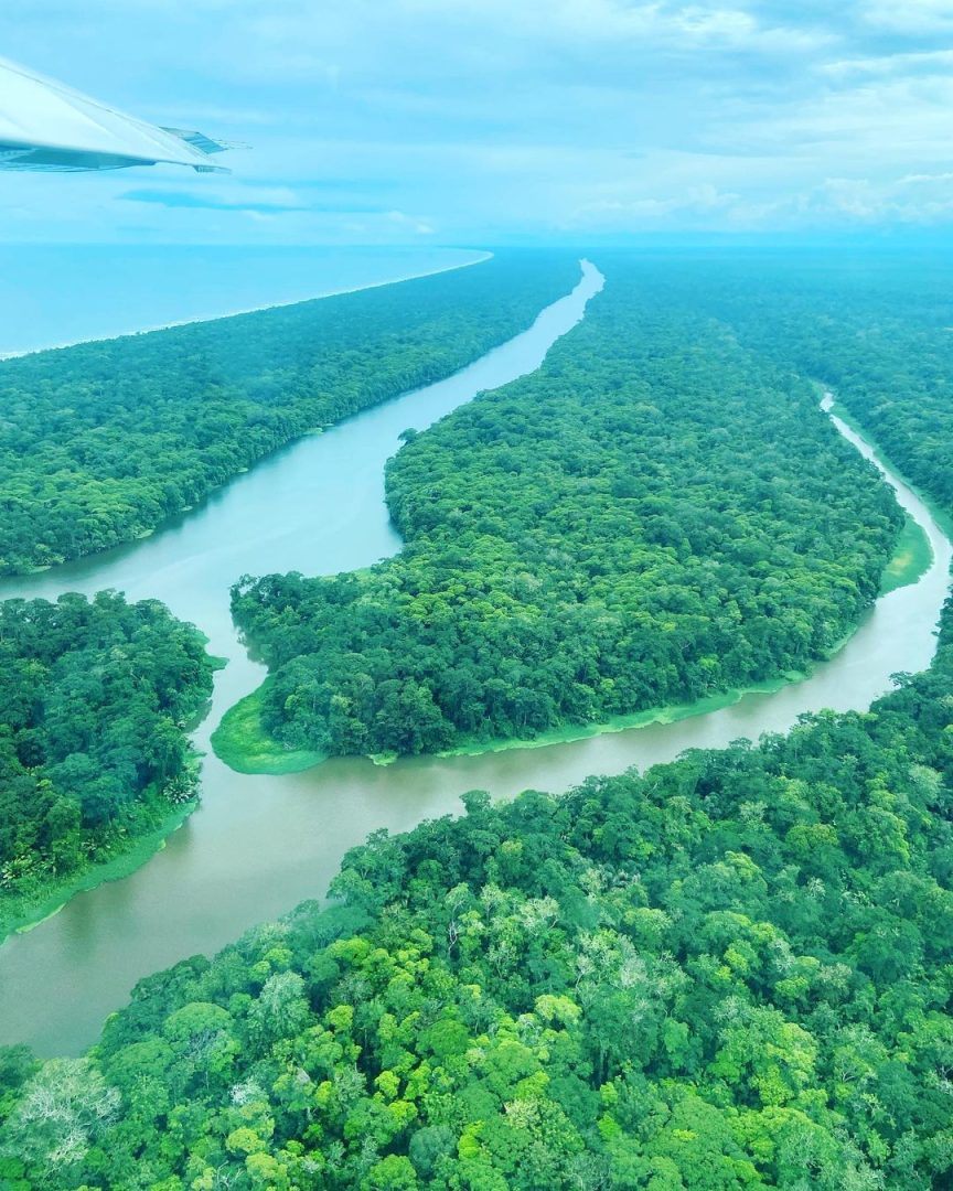 Best Time for Turtle Watching in Tortuguero, Costa Rica